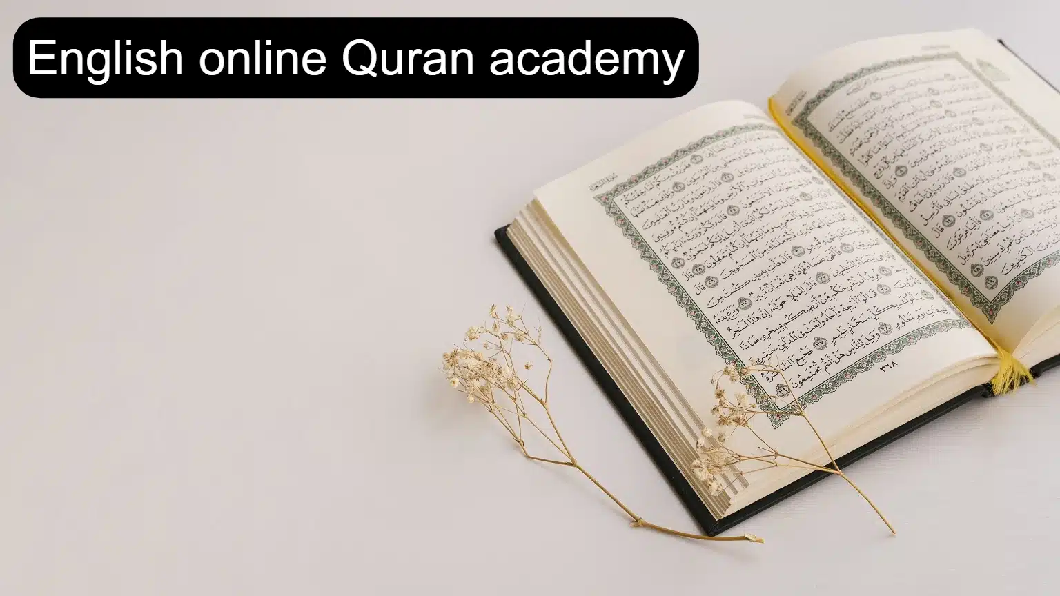 English online Quran academy | Quran Blessing