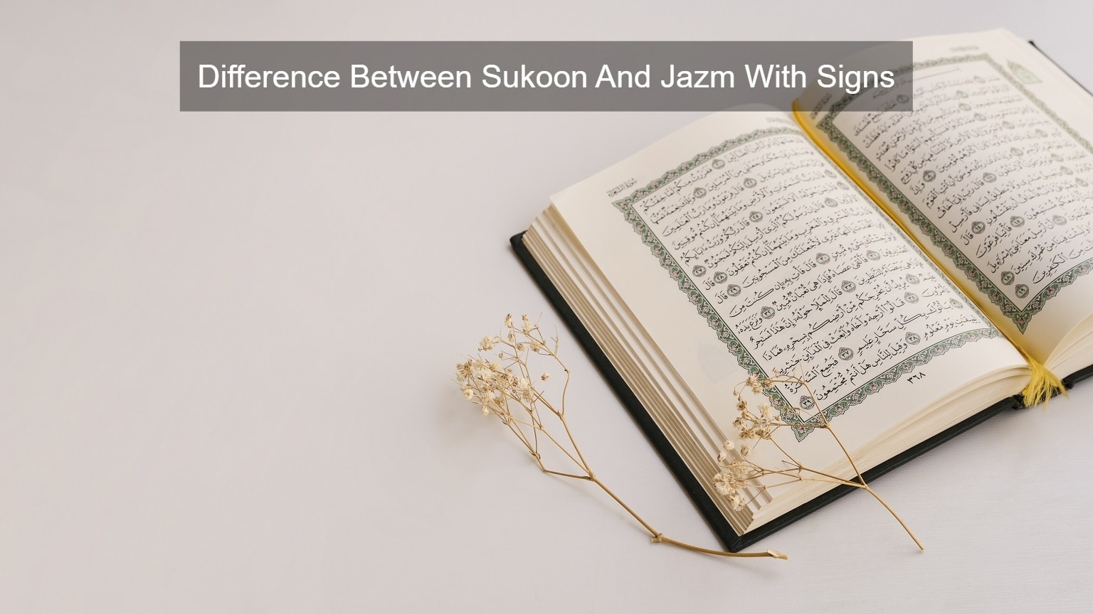 Difference Between Sukoon And Jazm With Signs | Quran Blessing